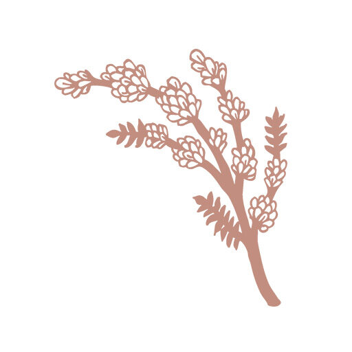 Coloring Books - Hues of Heather